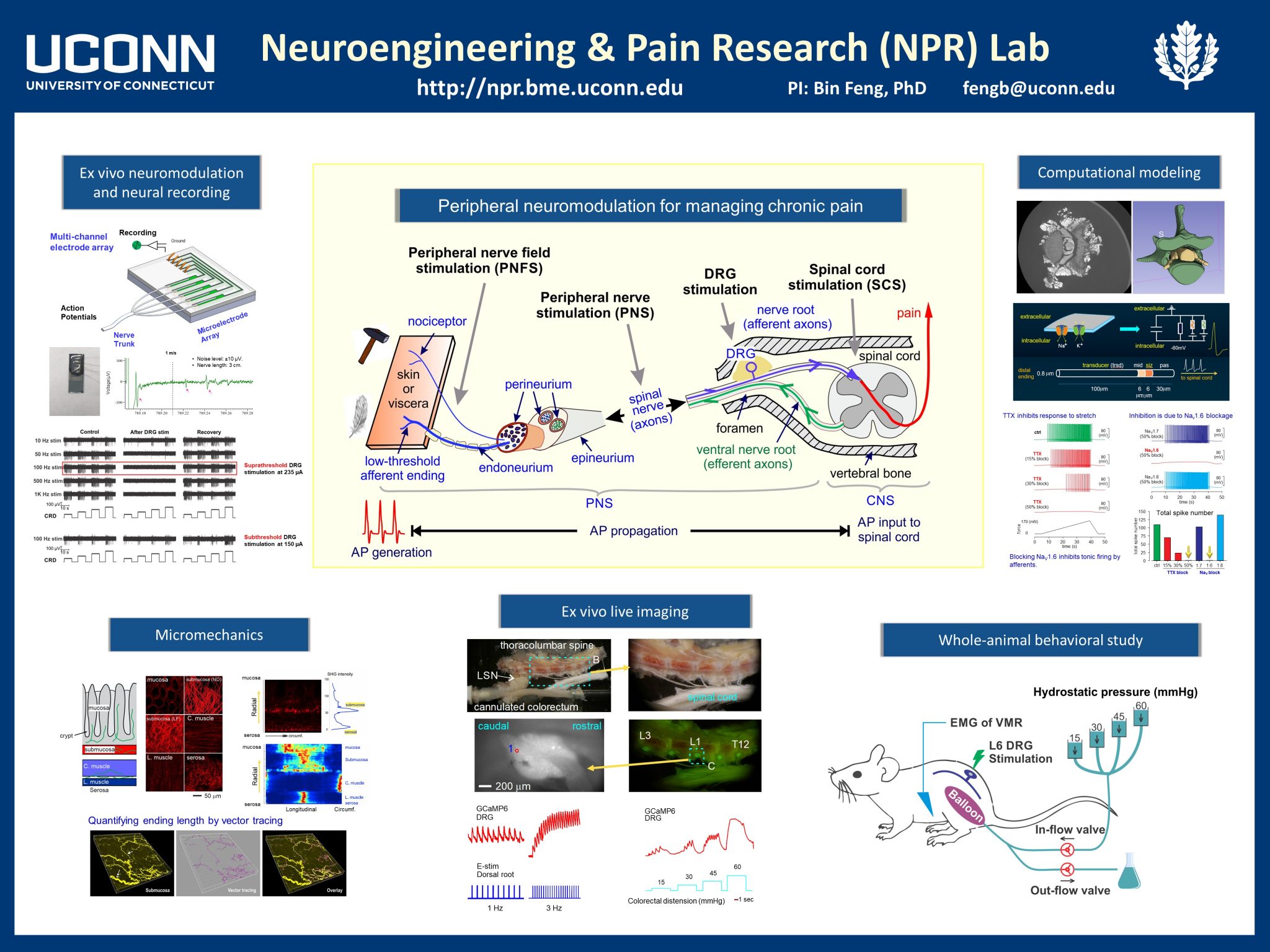 Home | Neuroengineering & Pain Research (NPR) Lab | Biomedical ...